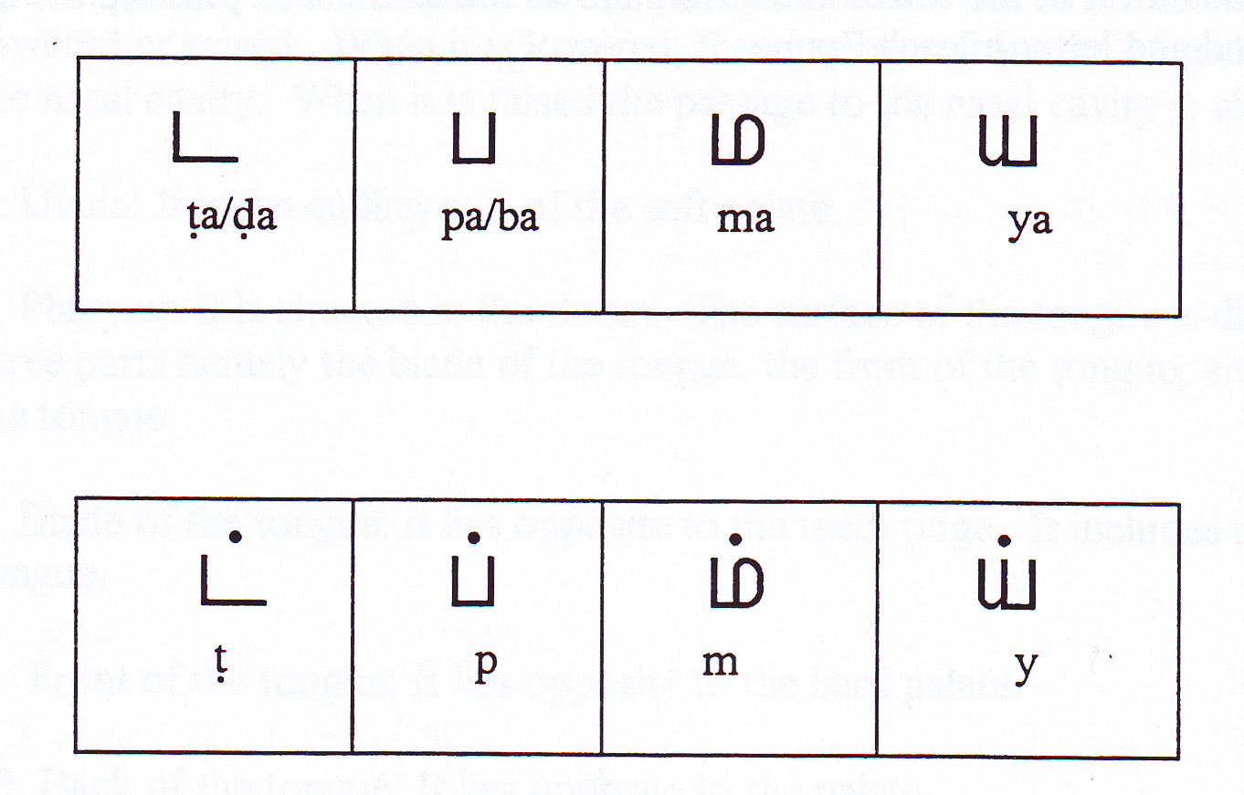 Tamil Script Learners Manual » Module 01